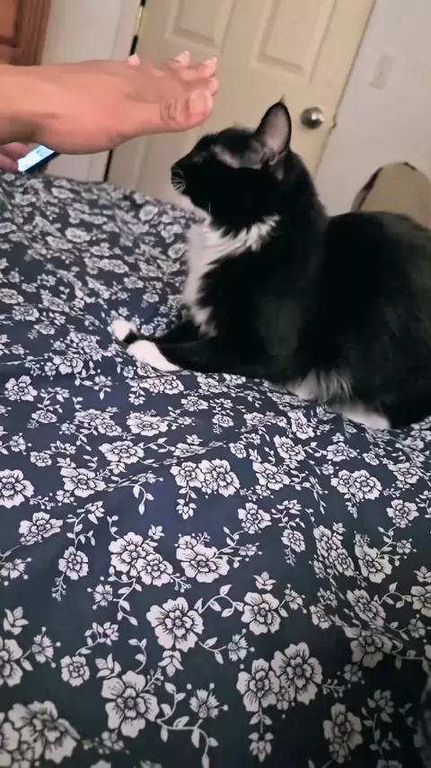 María Mora Estepan (@mariamoraestep) on SnackVideo