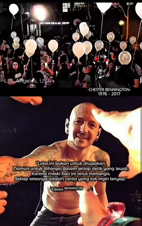 Chester koong korean videos