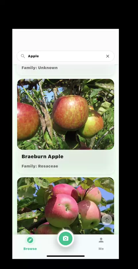 Apple id credit card