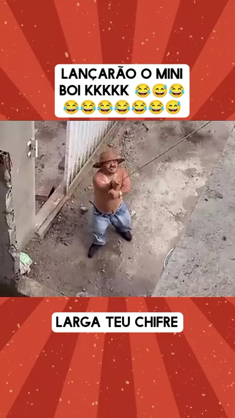 Mini boi meme
